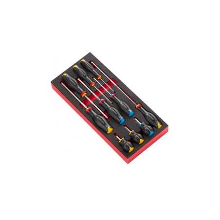 Module tournevis protwist vis Phillips et Pozidriv FACOM "MODM.AT5" de ...